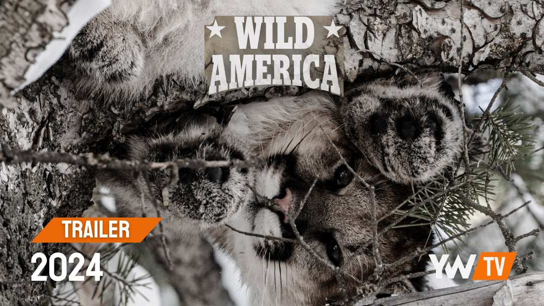 Young Wild Hunters | Young Wild Hunters